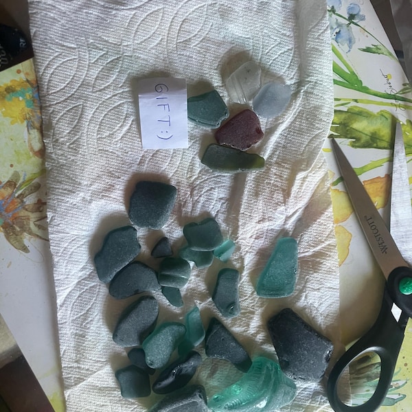 Authentic Adriatic Sea Treasures: Rare Terracotta Hag Stones, Croatian ...
