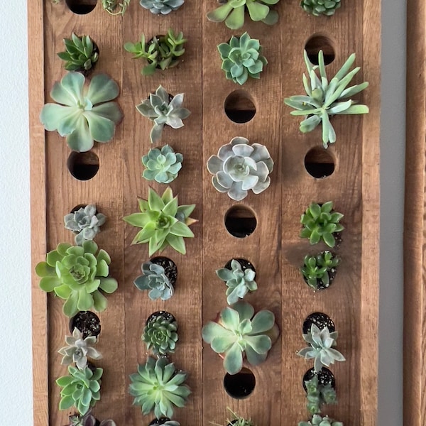 Riddling Rack Wall Planter - Etsy