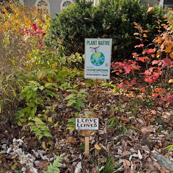 Leave the Leaves - Yard and Garden Sign for Xerces Society - Etsy