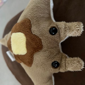 Sea Pancake Manta Ray Plush - Etsy