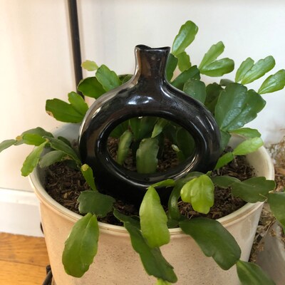 Yellow Water Spike, Olla, Plant Tender, Watering Bulb Bottle-shaped ...