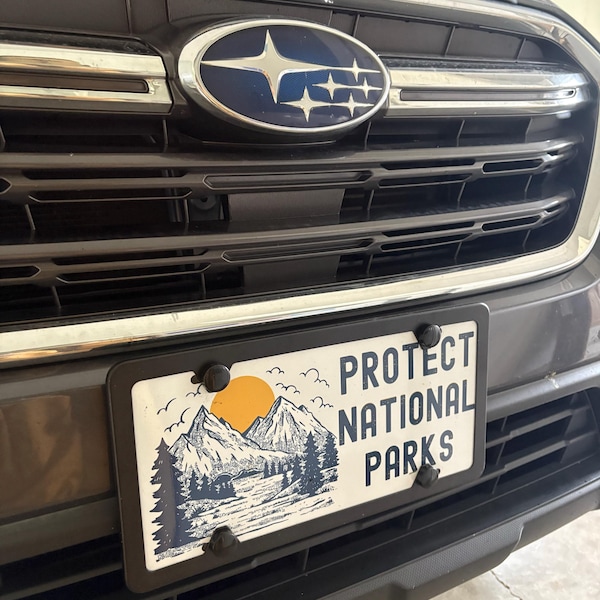 Stained Glass License Plate Frame, Floral Pink Peony Vanity Car Tag ...