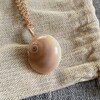 Real Seashell Necklace on Stainless Steel Chain. Scallop Shell Mermaid ...