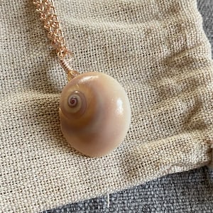 Shark Eye Shell Mermaid Necklace. Seashell Necklace. Shell Jewelry. Moon Shell Necklace. Unisex ...