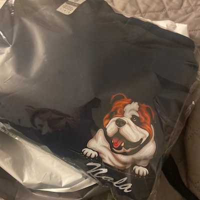 Always Cold Sweatshirt, Freaking Cold, Cuddle, Gift for Her, Sweatshirt ...