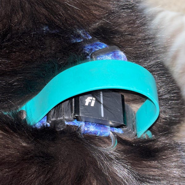 Fi Series 2 Collar Adapter - Etsy