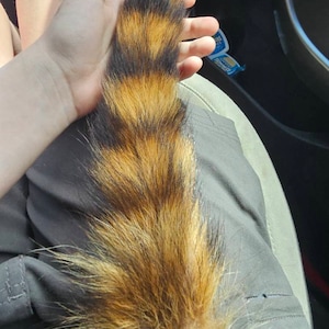 Coyote Pelt Fur Mantle With Black Deerskin - Etsy