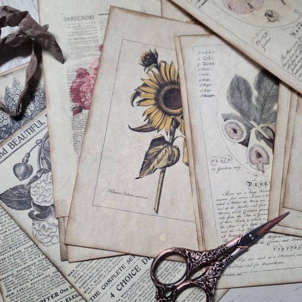 Botanical Ephemera Bundle, Vintage Inspired, 64lb Parchment Paper, Set ...