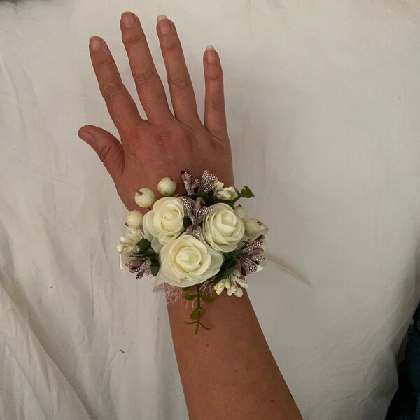 Dinosaur Bundle Poster, Fun Fact Cards for Kids, Dinosaur Poster, Kids ...