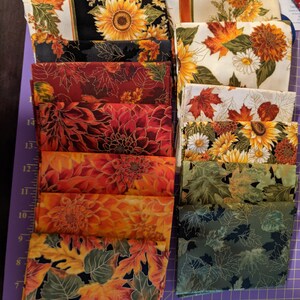 Galactic Explosion by Nancy Rink Design 12 Part BOM Quilt Pattern - Etsy