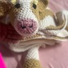 Sock Monkey Photo Prop Set - Etsy