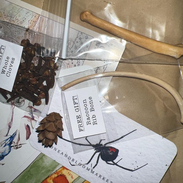 Real Moose Pellet in Glass Vial, Moose Poop, Animal Dung, Weird Gift ...