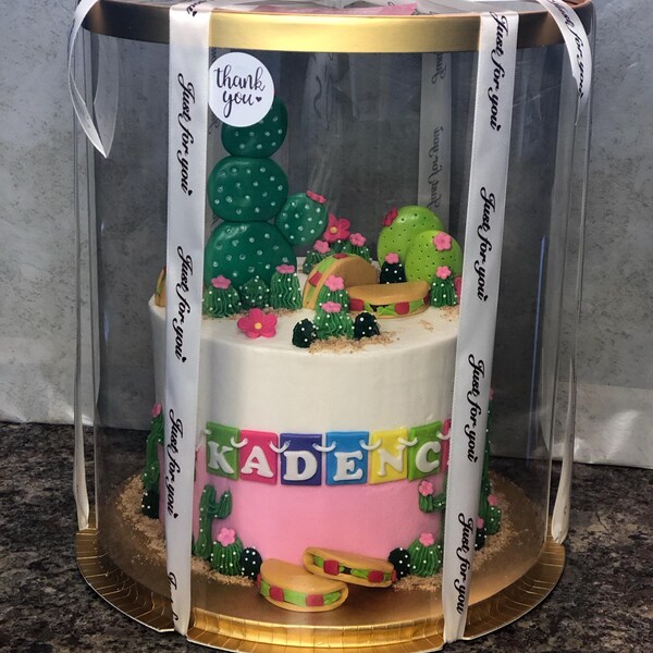 5 Cake and Cupcakes Combo Bento Boxes With Clear Lid and Cupcake Holes ...