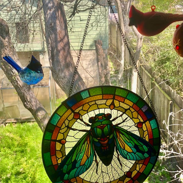Cicada GLASS Window Decor, Translucent Decor, Insect Glass Window ...