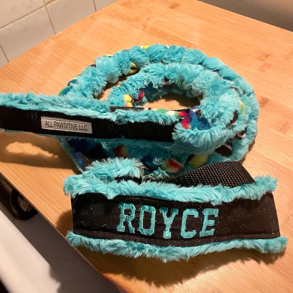 Bold and Bright Ring Lead With Tug! - Agility Lead-barn Hunt Lead ...