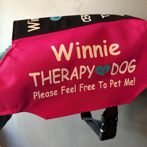 Personalized Therapy Dog Vest: Custom Name, Durable Outdoor Fabric - Etsy