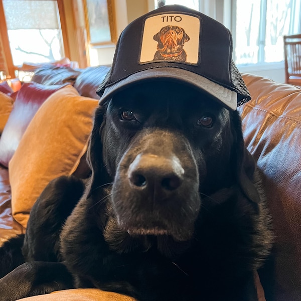 Bible Verse Trucker Hat | Isaiah 40:31 | Patch Hat | Foam Mesh Trucker ...