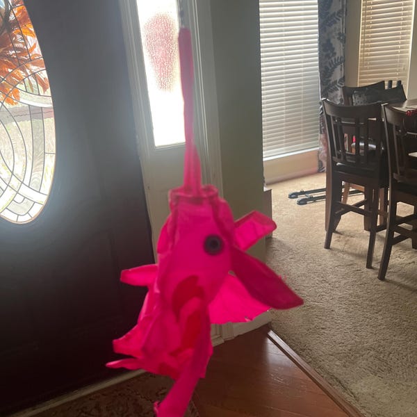 Duck Windsock - Etsy