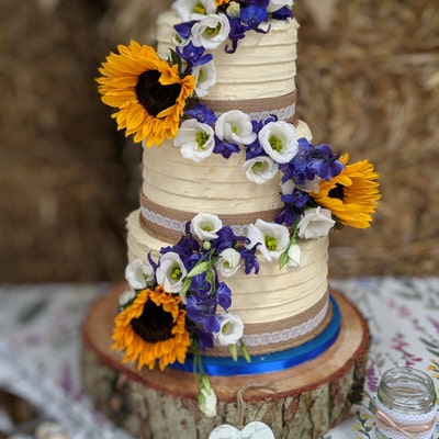 Gorgeous 15 Rustic Log Slice X 3 Thick, Ideal for Wooden Wedding Cake ...