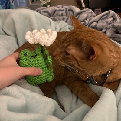 Amigurumi Crochet Platypus Plush Stuffed Animal Tag - Etsy