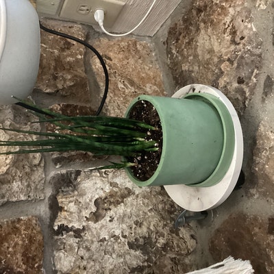 Lava Rock Diffuser Essential Oil Diffuser natural Diffuser flameless ...