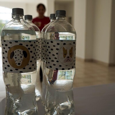 School Classroom Puppy Birthday Poster - Etsy