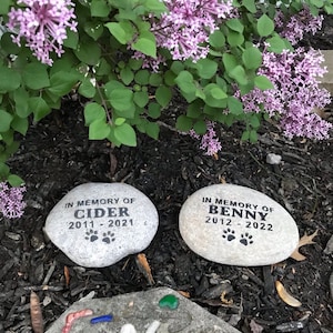 Family Tree Written in Stone Custom Carved River Rock Garden - Etsy