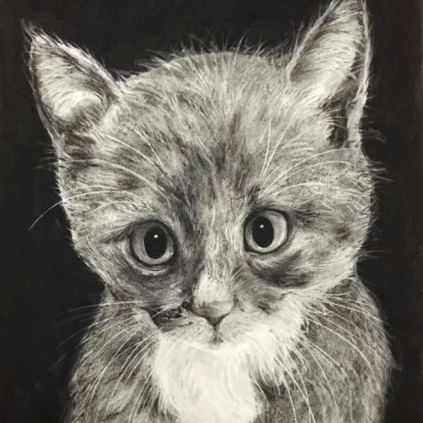 Pure Black Background for Charcoal Portrait ***add-on Only*** - Etsy