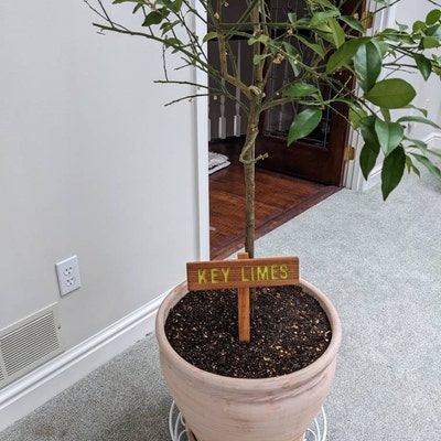 LIMES Rustic Tree Sign, Hand Routed, Citrus Tree Garden Sign, Tree ...