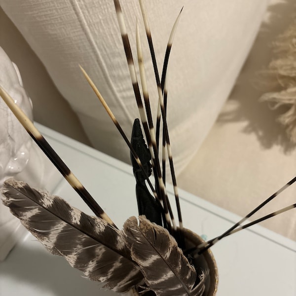 Authentic African Porcupine Quills, 5 Pcs, 9-12" Long | Cruelty-free ...
