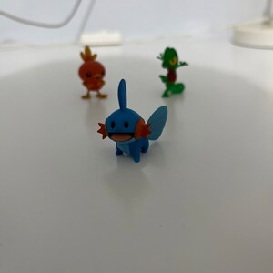 Gen 3 Torchic Starter 3D Printed - Etsy