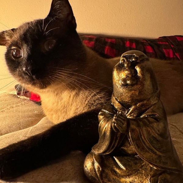 Bronze Peter Griffin Buddha Family Guy Statue Original Sculpt and Cast ...