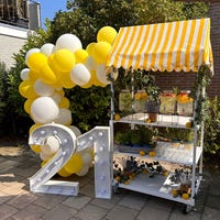 Hessian SCRIM Netting Jute Fabric Sacking Material Fine Natural Burlap ...