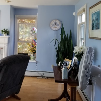 Blue Hydrangea Flower Clock - Etsy