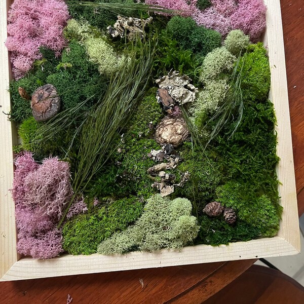 DIY Moss Art Kit, Holiday Gift, Unique Gift Box, DIY Moss Art, Unique ...