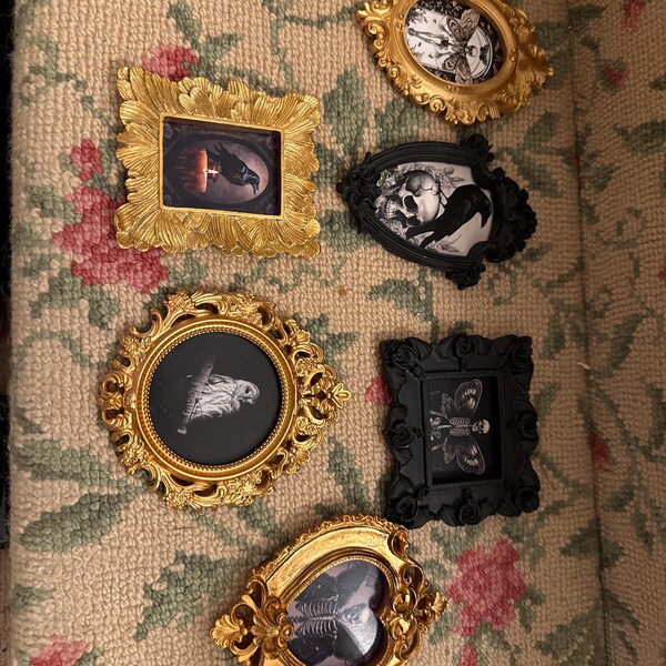 Mini Wall Art Oddities Curiosities Goth Gold Vintage Frame AI, Garden ...