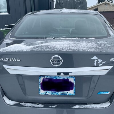 Floral Line Art License Plate Frame Minimalist Floral License Plate ...