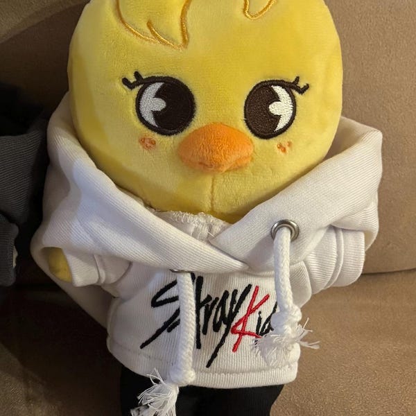 Hoodie Set for Skzoo, Autumn Outfit for Skzoo, Stray Kids Plushies ...