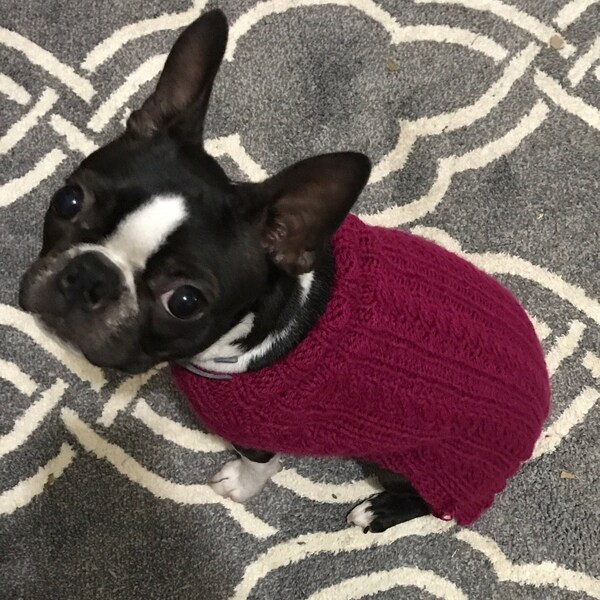 SMALL dog sweater hand knit in a gorgeous red with black collar and ...