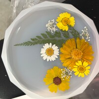 Wine Red Carnation Pressed Flowers Stems,6 Pcs/pack,pressed Dried ...