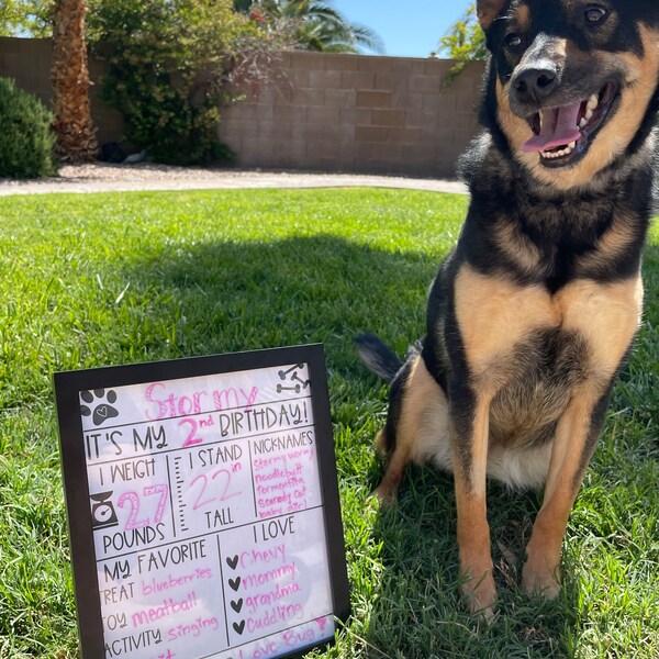 Dog Adoption Sign | Pet Rescue Sign | "adopt Me" Board - Etsy