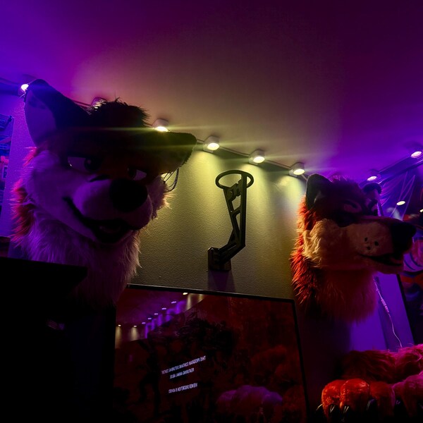 Fursuit Head Wall Mount: Cosplay Headgear Display (10lb Max Load) - Etsy
