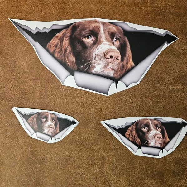 Springer Spaniel Car Decal, Dog Car Decal, Spaniel Car Sticker ...