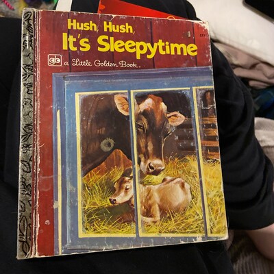 The Magic School Bus Going Batty 1996 Scholastic 90s Kids Reading ...