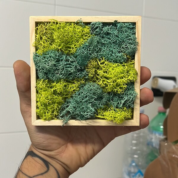 Framed Moss Art Wall Decor/ Moss Hair Woman Face Art/ Florist Moss ...