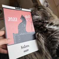 Linoldruck Fuchs und Schwäne original Druckgrafik - Etsy.de
