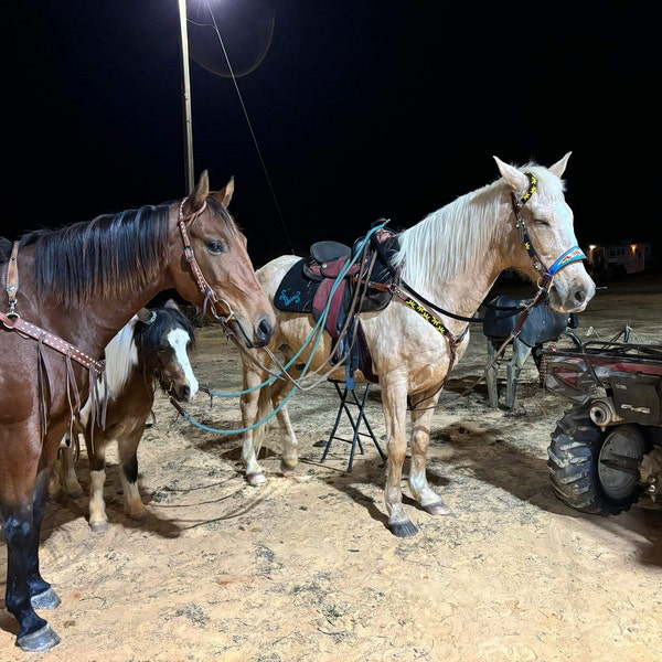 Custom Slot Ear Headstall With Buckstitching - Etsy