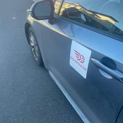 3 No Dog Poop Smile You're on Camera 8x12 - Etsy