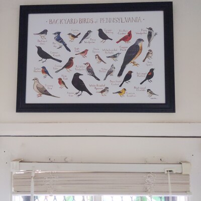 Pennsylvania Backyard Birds Field Guide Art Print / Watercolor Painting ...