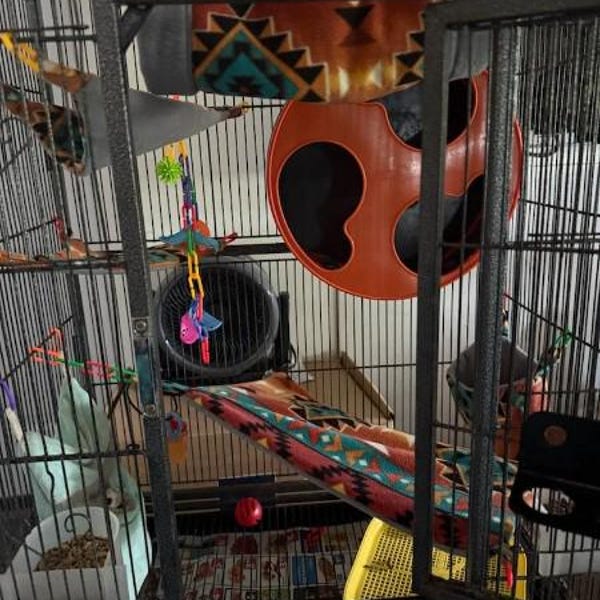 6 Piece Cage Set Sugar Glider & Rat Cage Set – Ready to Ship Sugar ...